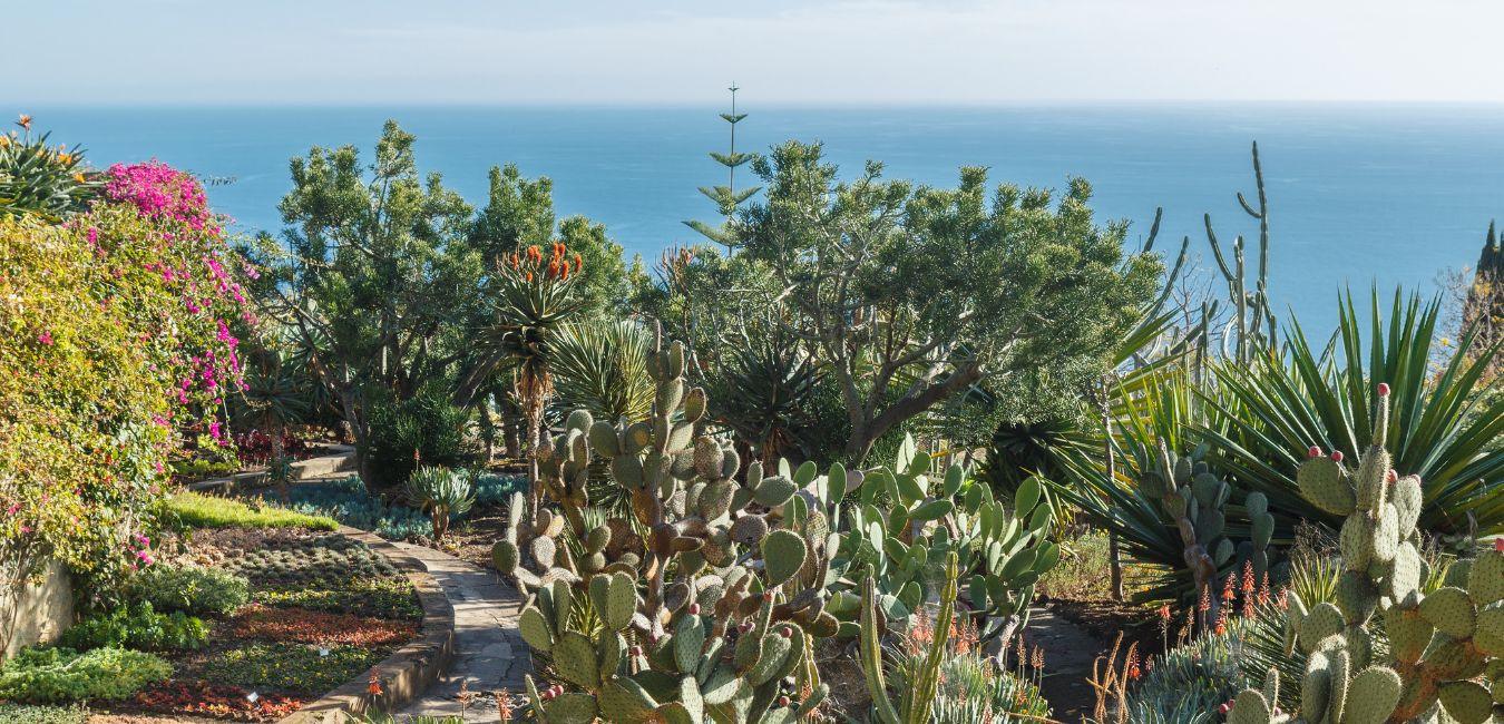 How to Layer Your Perfume for a New Season