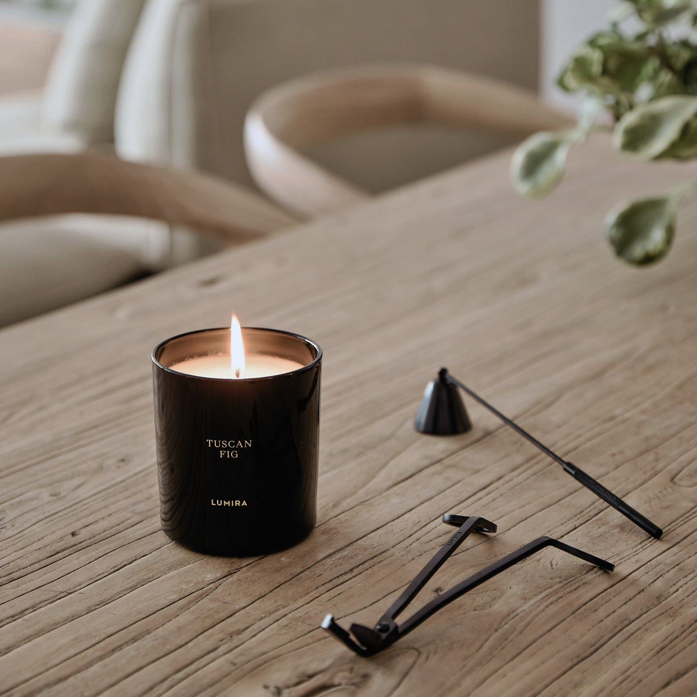 Tuscan Fig Luxury Candle | Hand Crafted in Australia